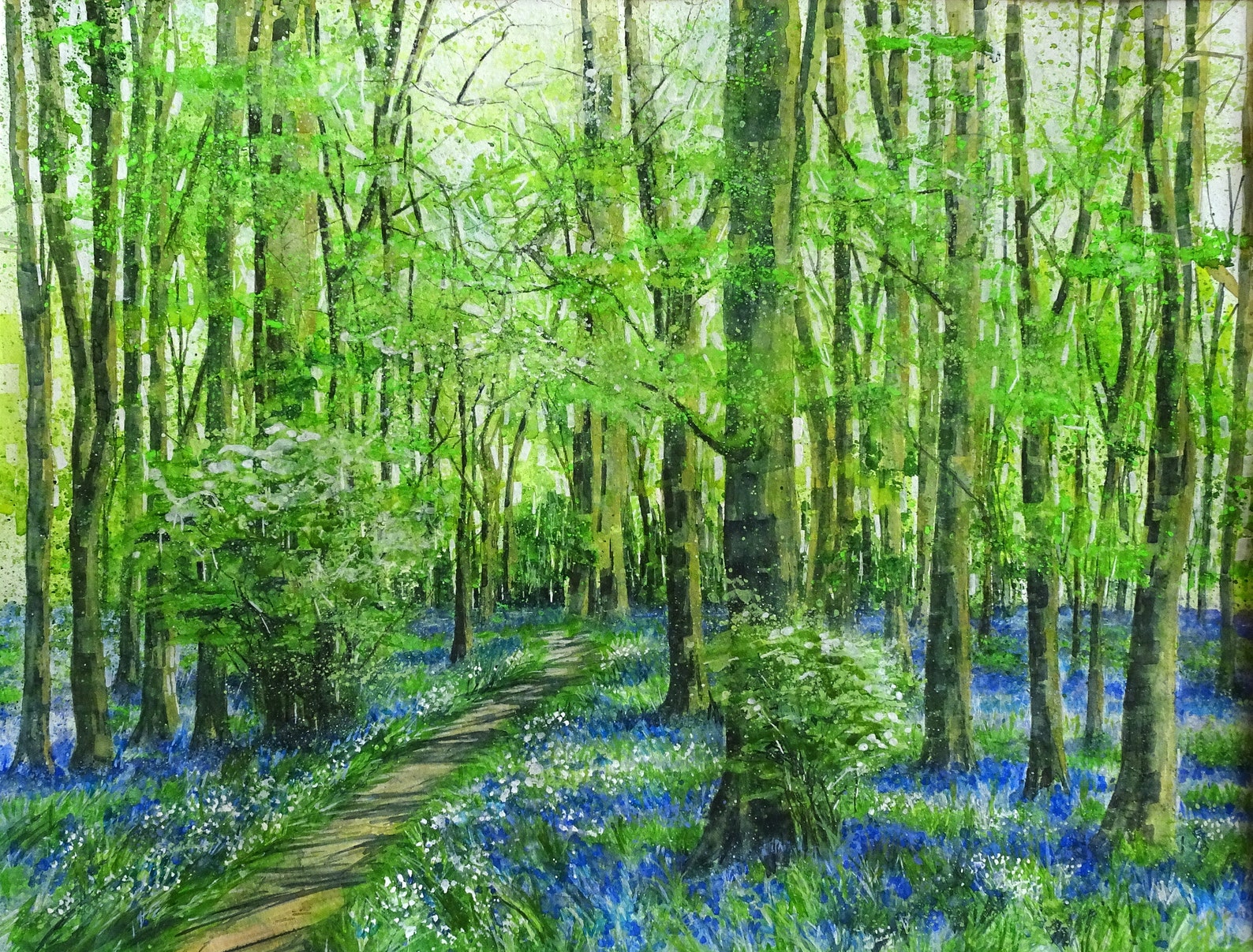 Blue Bell Woods . Limited Edition Artist Signed Giclee Print on ...