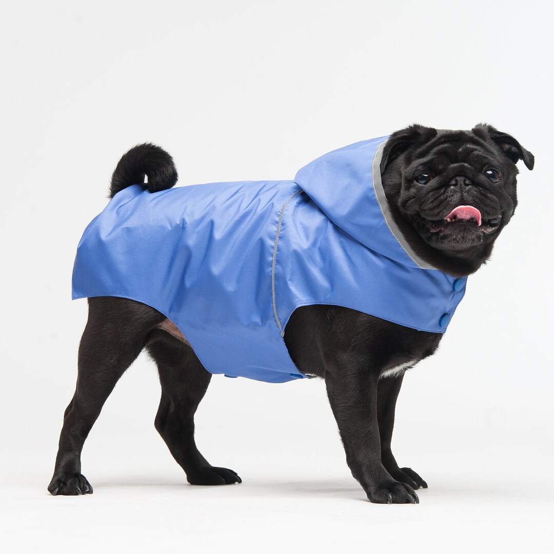 Pug Clothes - Pug Rain Jacket - Dog Jacket - Dog Raincoat - Etsy