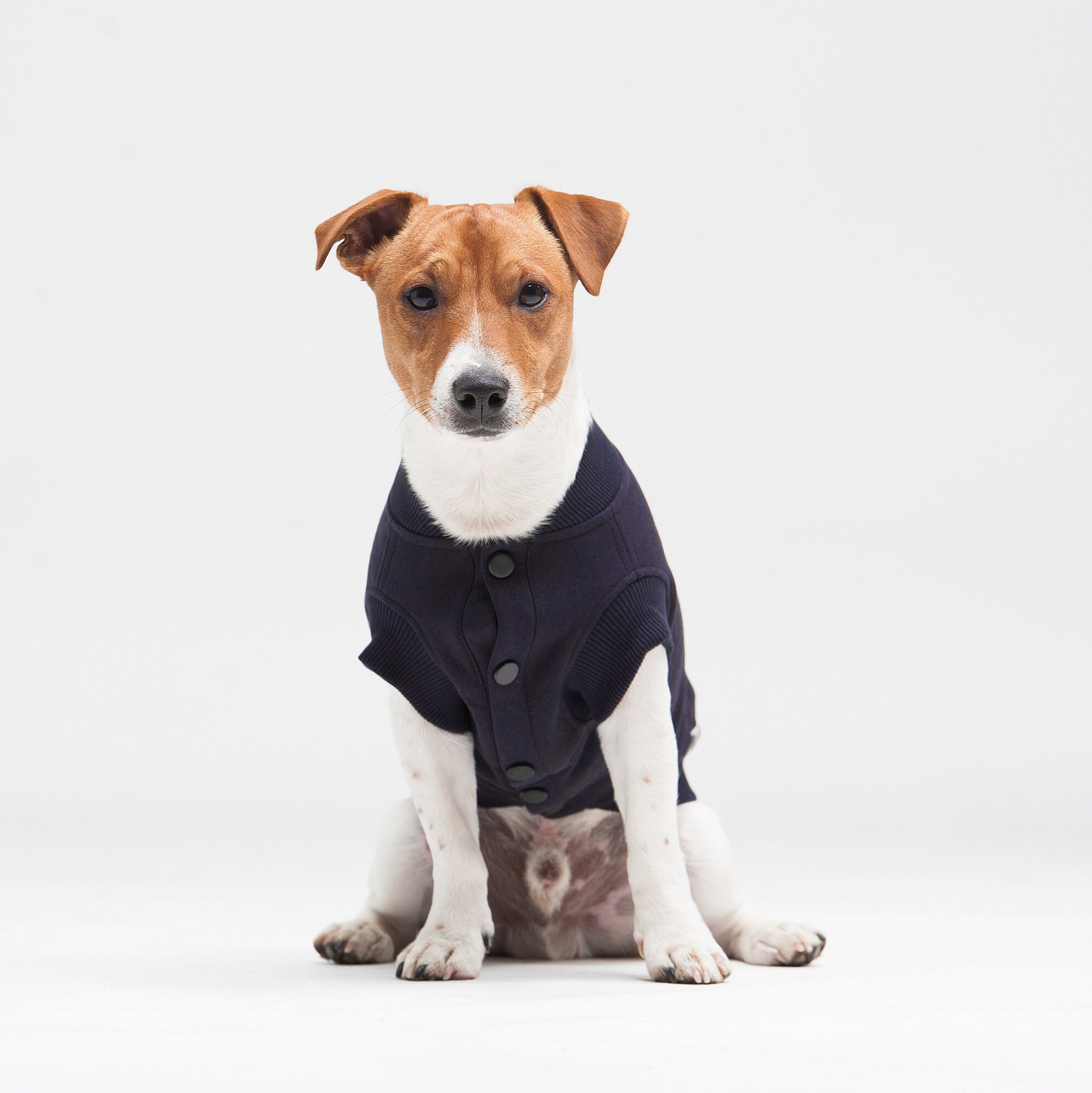 Jersey Jacket for Dog Dark Blue Jacket Cotton Jacket - Etsy