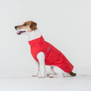 Light Jacket for Dog Raincoat for Dog Clothing for Dog Dog Wear Pet ...