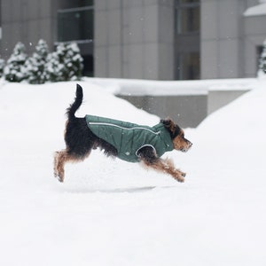 Dogs Clothes, Warm Jacket for Beagle, Warm Jacket, Clothes for Big Dog ...