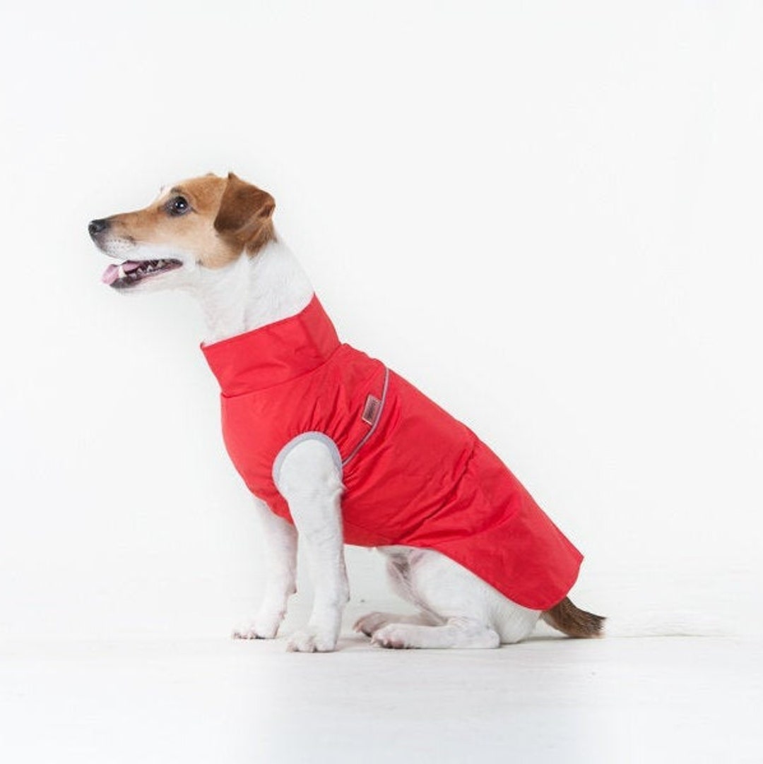 Rain Jacket for Dog - Dog Raincoat - Light Jacket for Dog - Dog Wear ...
