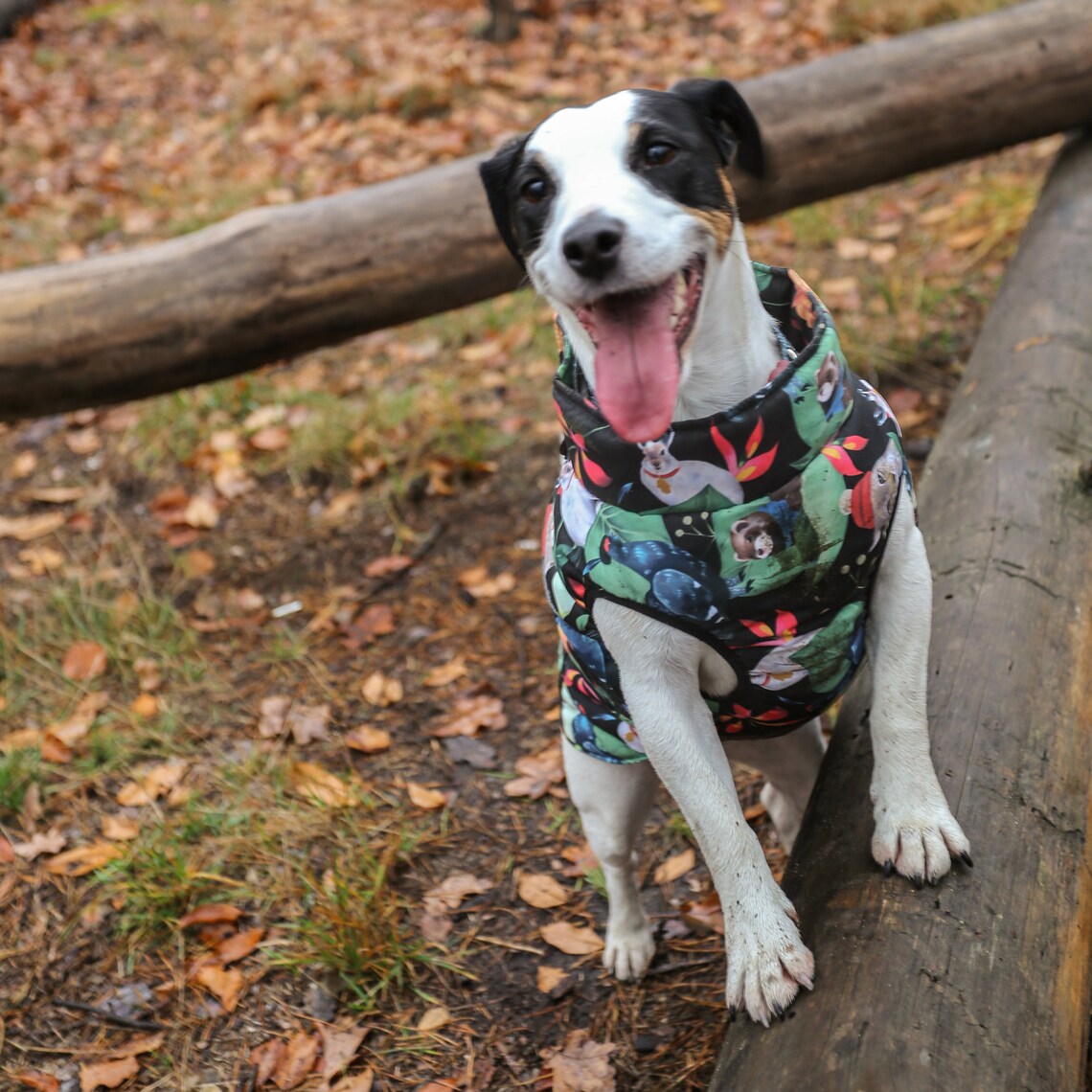 Warm Jacket for Dog Animalistic Warm Jacket Jacket for Dog - Etsy