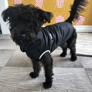 Light Jacket for Dog Raincoat for Dog Clothing for Dog Dog Wear Pet ...