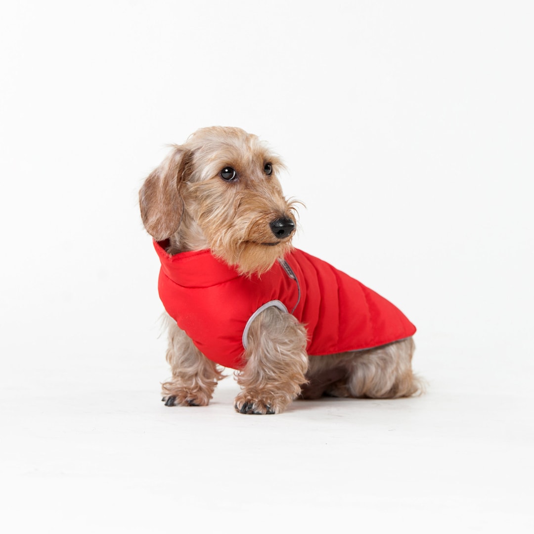 Dogs Clothes, Warm Jacket for Beagle, Warm Jacket, Clothes for Big Dog ...