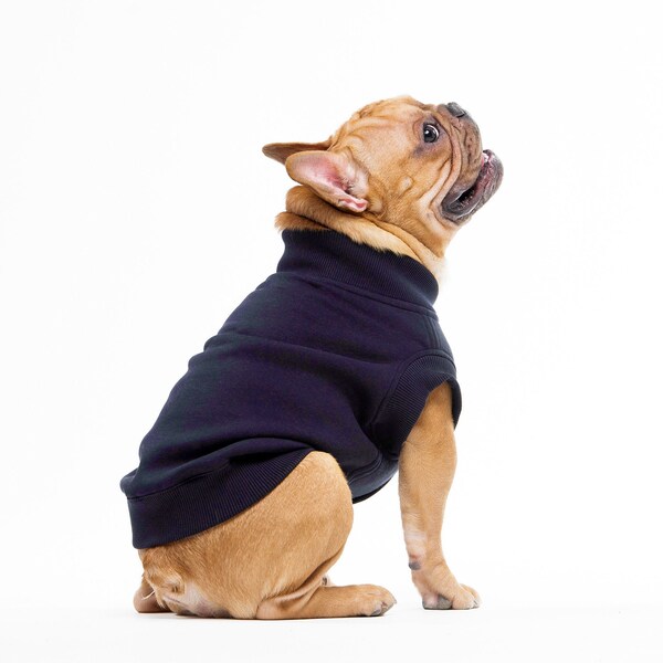 French Bulldog Clothes for Dogs - Etsy