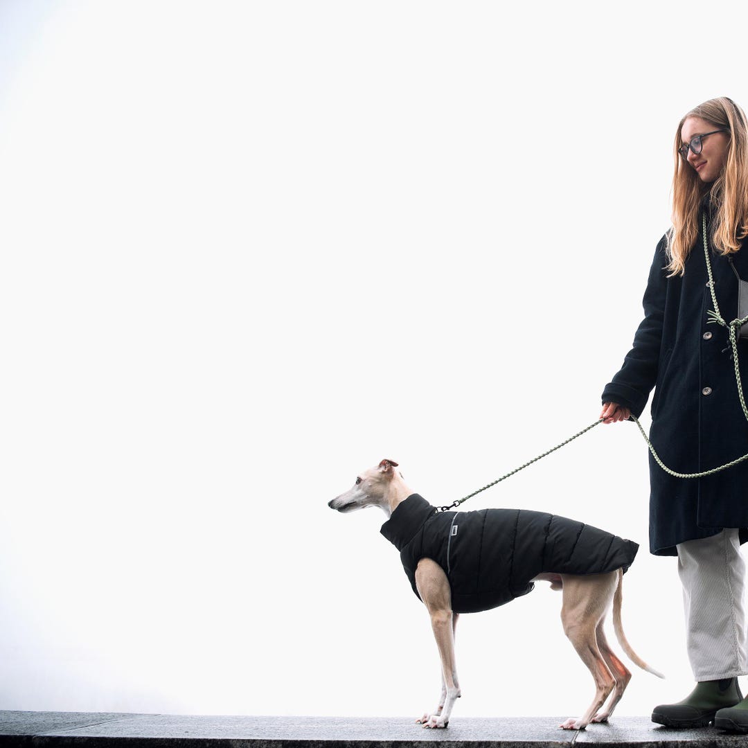 Whippet Coat - Whippet Jacket - Greyhound Jacket - Greyhound Clothes ...