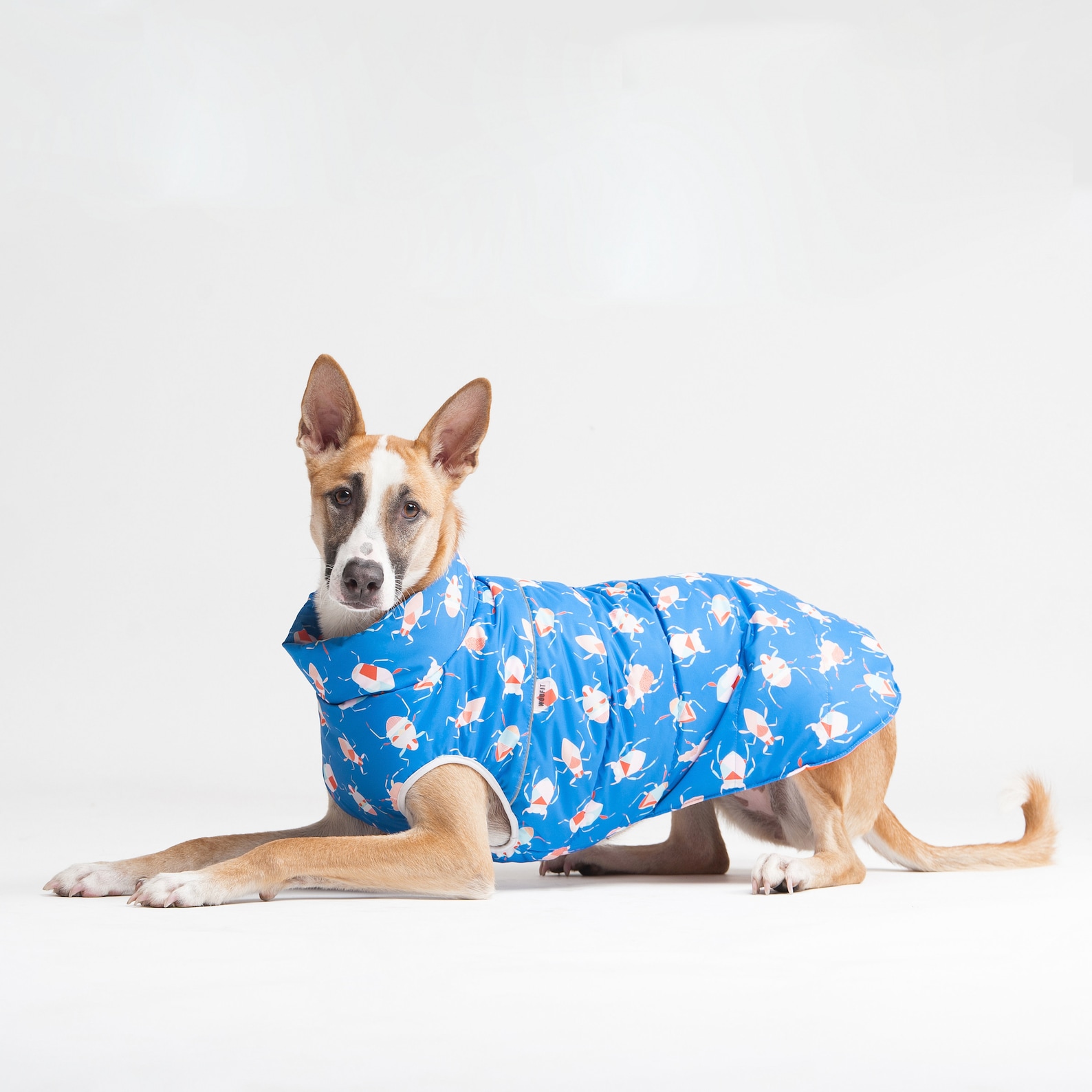 Large Dog Clothes Jacket for Dog Dog Wear Clothes for Big | Etsy