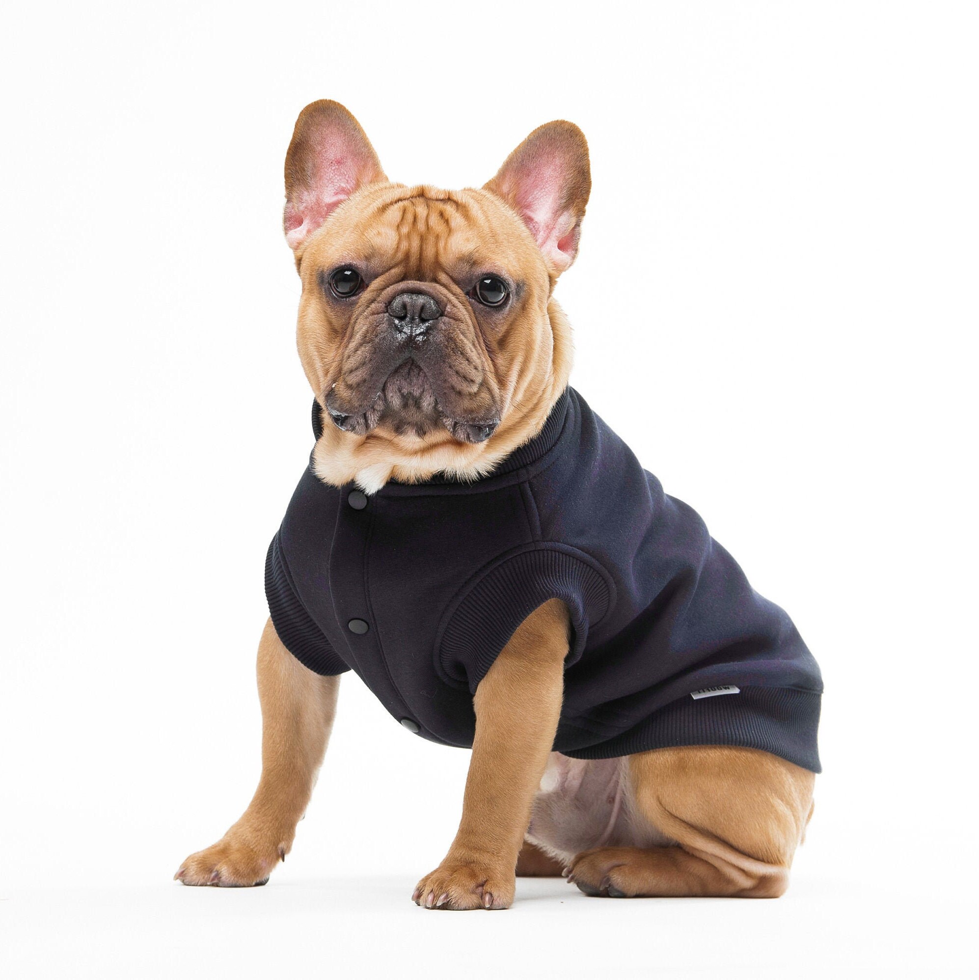 Jersey Jacket for Dog Dark Blue Jacket Cotton Jacket - Etsy