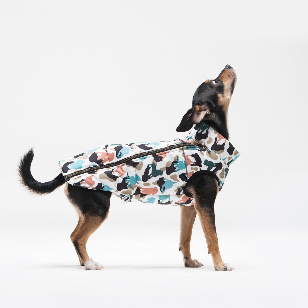 Dog Clothes - Jacket for Dog - Dog Wear - Clothes for Dog - Winter ...