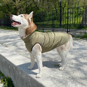 Light Jacket for Dog Raincoat for Dog Clothing for Dog Dog Wear Pet ...