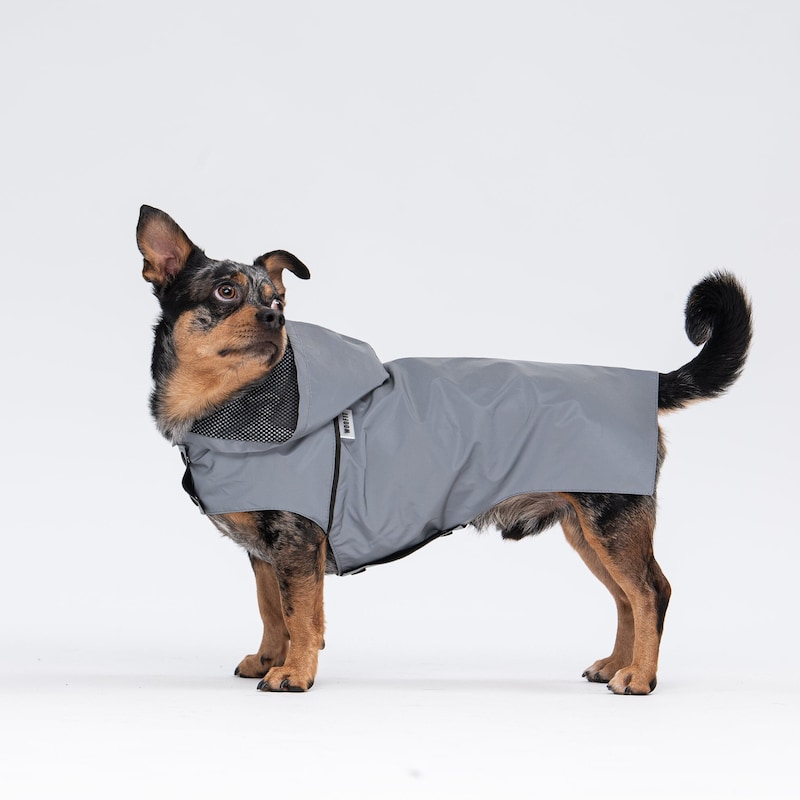 Woofitdogwear - Etsy