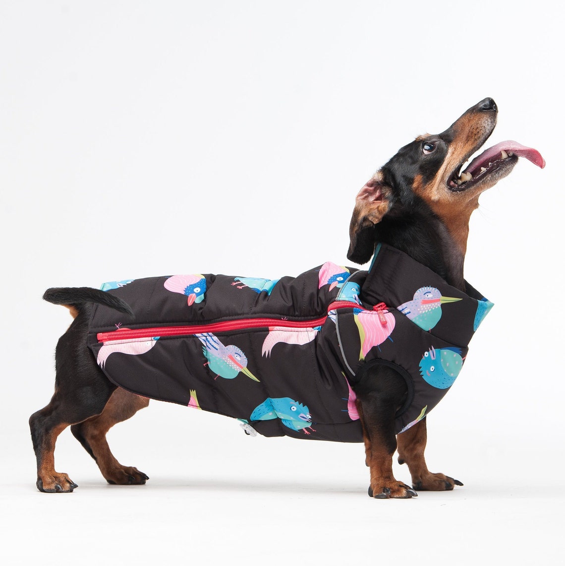 Warm Jacket for Dog Animalistic Warm Jacket Jacket for Dog - Etsy