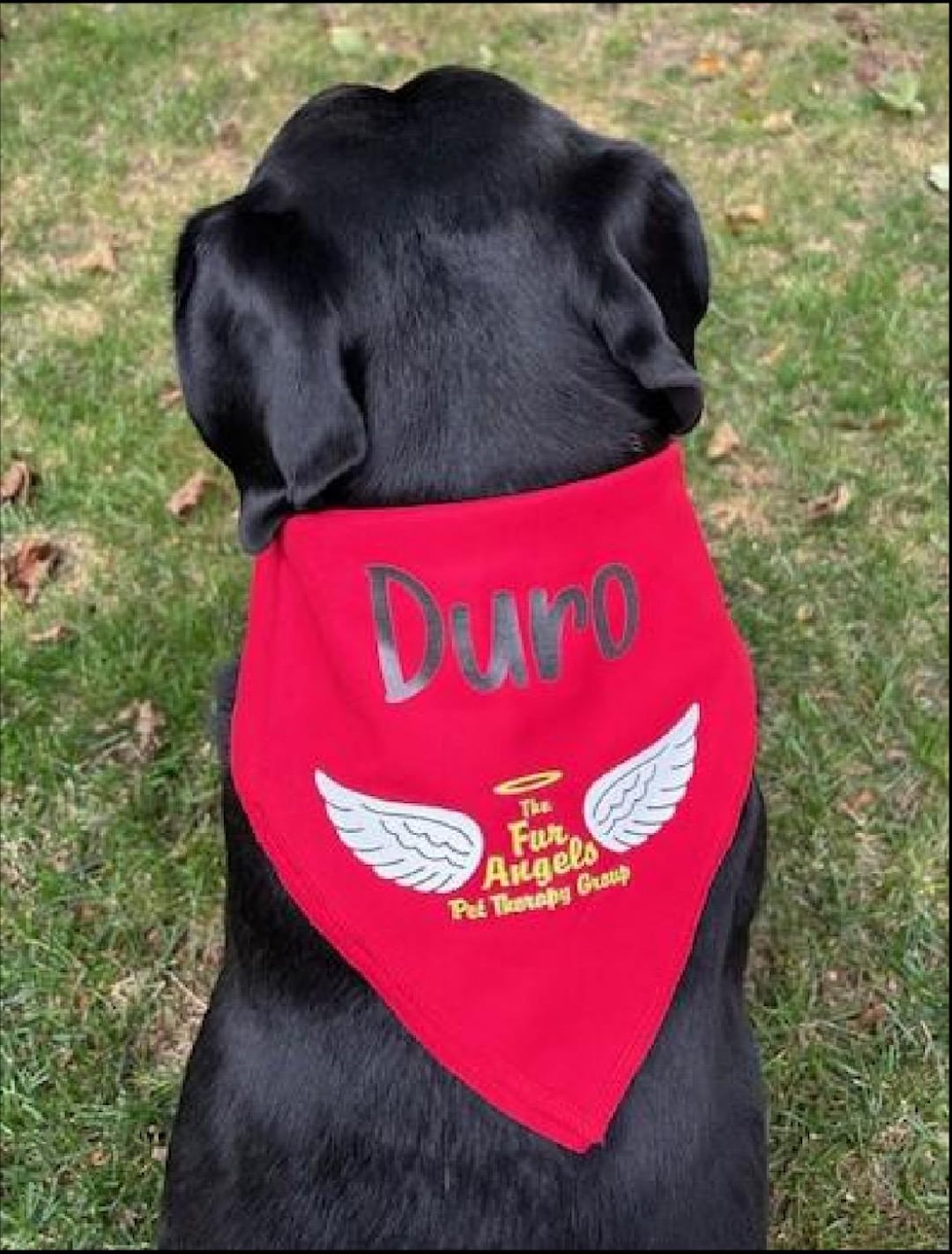 The Fur Angels Dog Bandana - Etsy
