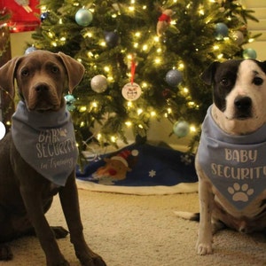 Baby Security in Training Dog Bandana: Pregnancy Announcement - Etsy