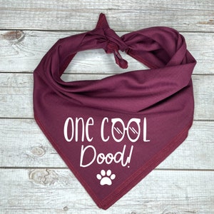 One Cool Dood Dog Bandana With Sunglasses - Etsy