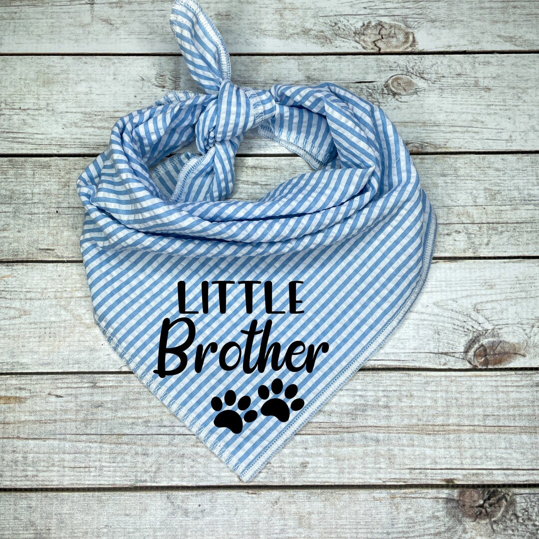Little Brother Blue Seer Sucker Dog Bandana, Baby Announcement - Etsy