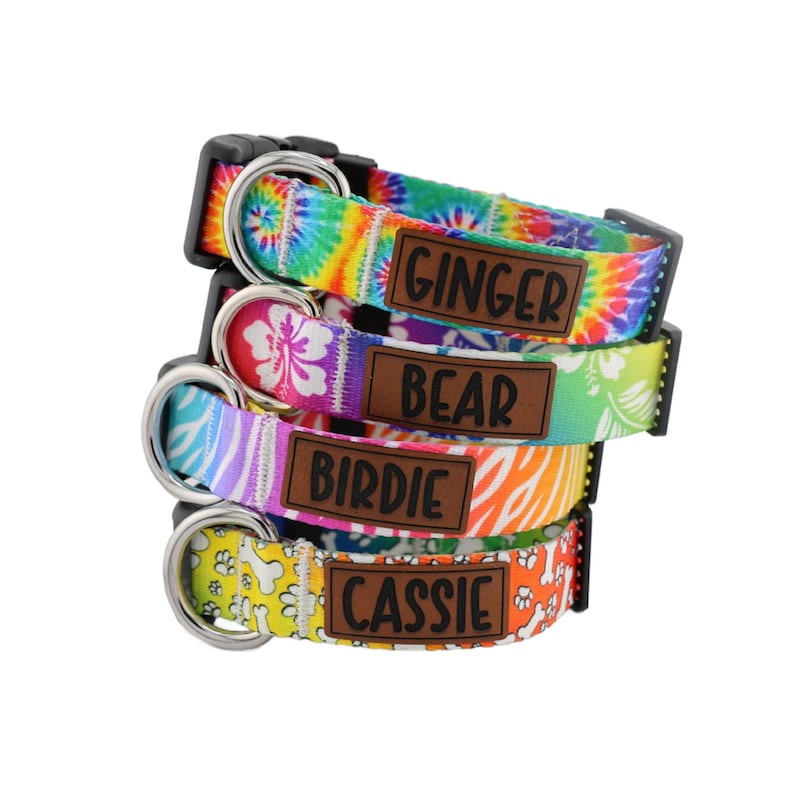Custom Dog Collar and Matching Leash Set in a Rainbow Print With Pets ...