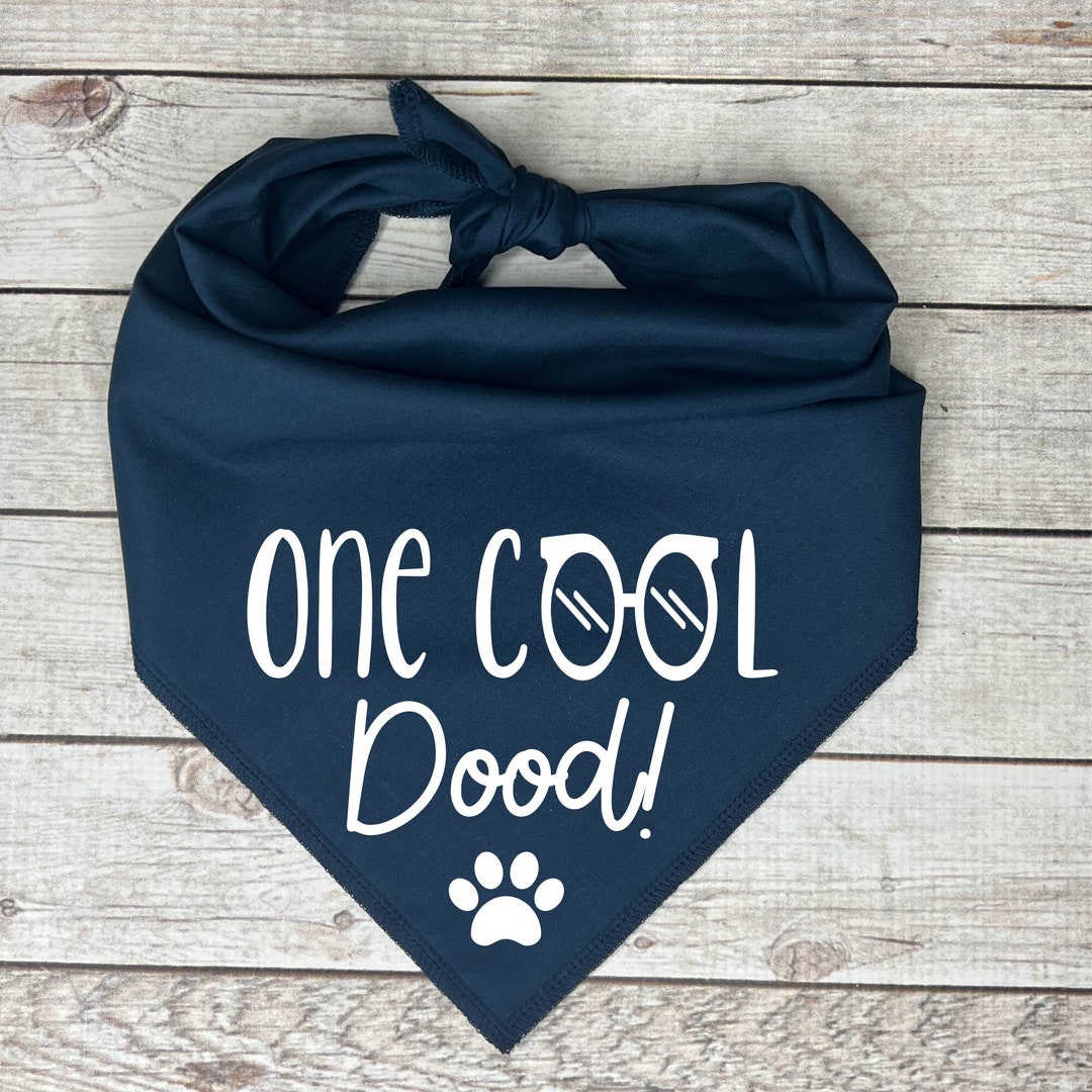 One Cool Dood Dog Bandana With Sunglasses - Etsy