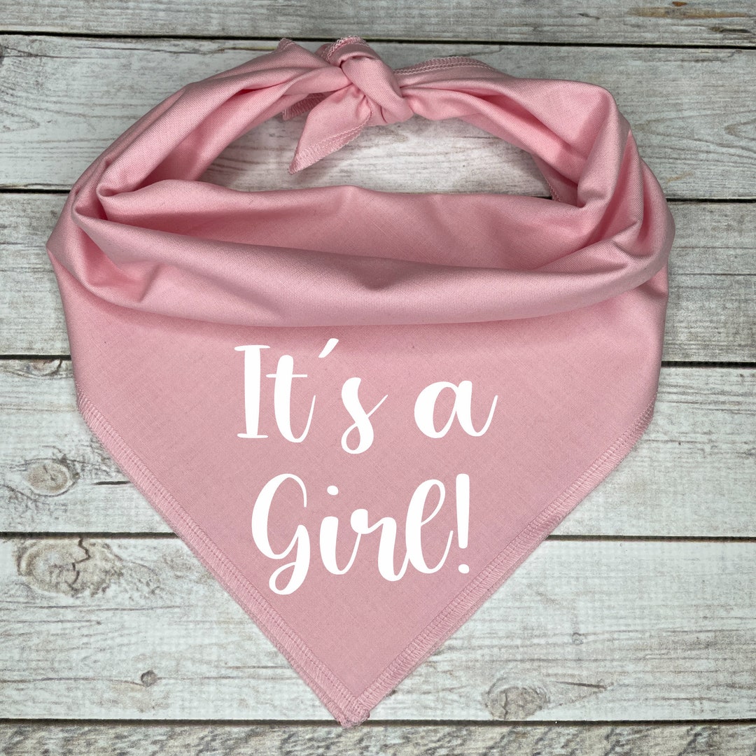 It s A Girl Dog Bandana Pregnancy Announcement Gender Etsy it-s-a-girl-dog-bandana-pregnancy-announcement-gender-etsy