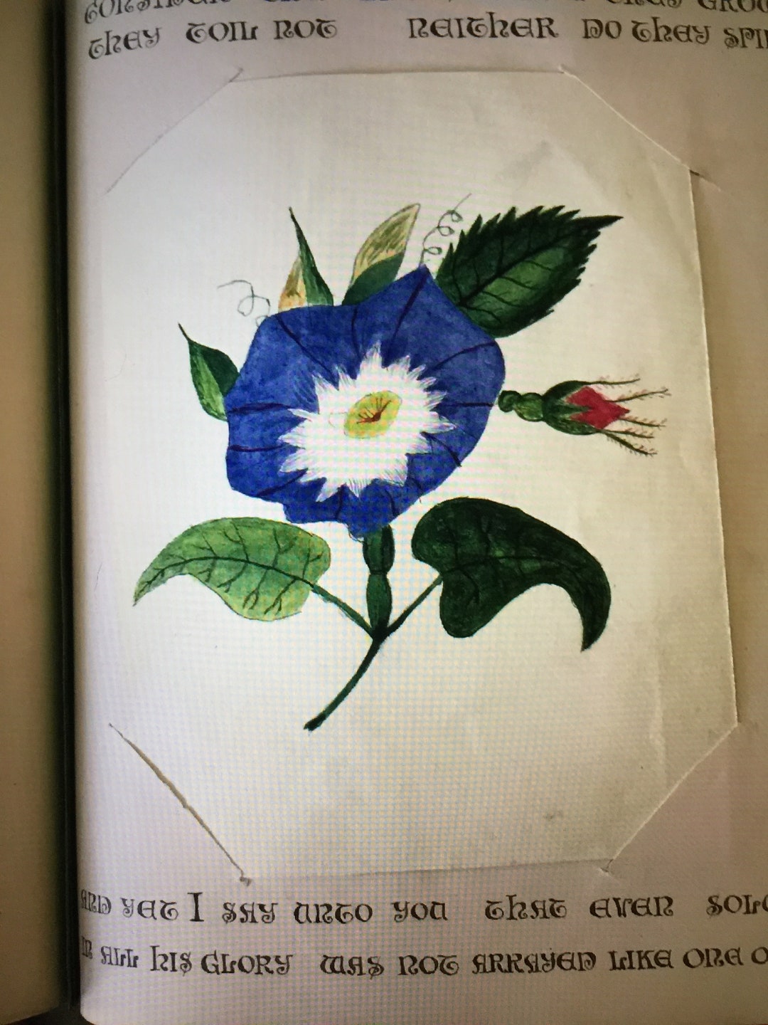 Antique Leather Autograph/commonplace Book/notebook 1800s - Etsy