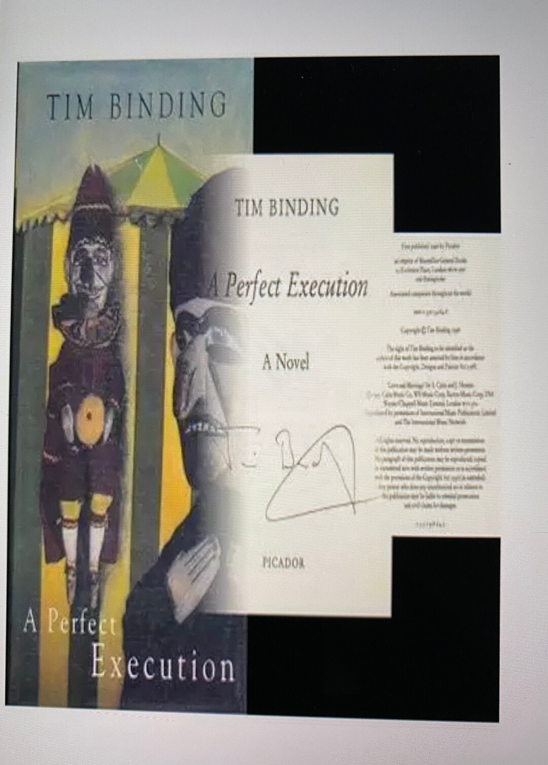 Vintage A Perfect Execution - Tim Binding - 1996 - Etsy