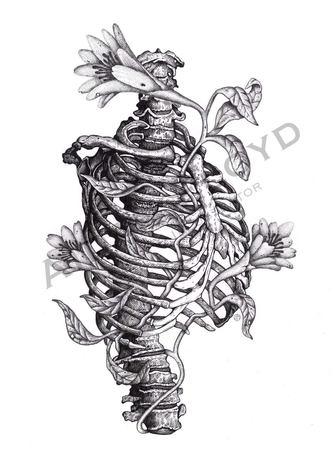 Human Fragility Dark Art Flowers Bones Fine Art - Etsy