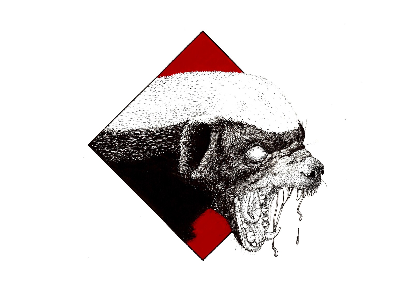 The Honey Badger - Illustration | Art Print | Wildlife Art | Fine Art ...