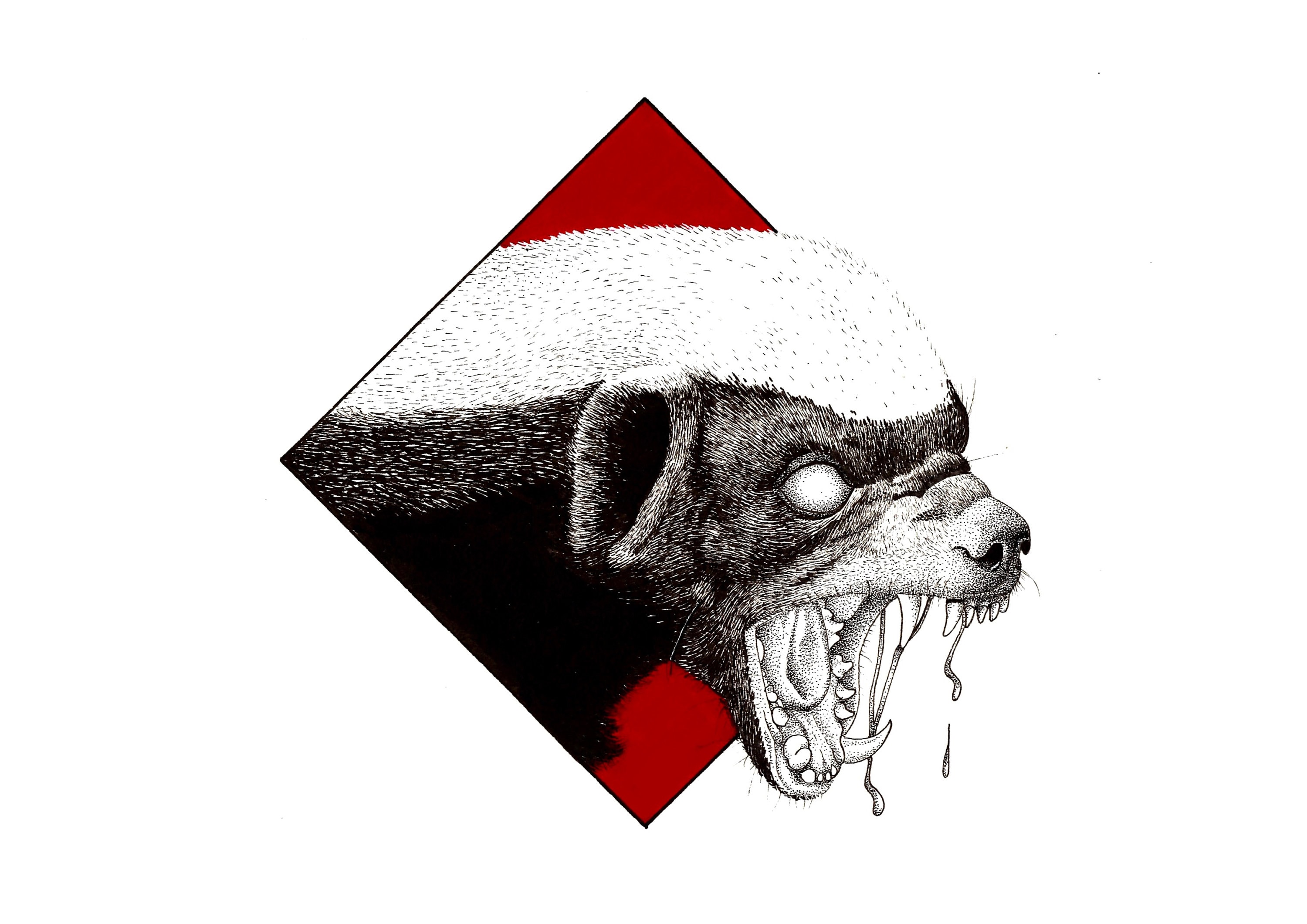 The Honey Badger - Illustration | Art Print | Wildlife Art | Fine Art ...