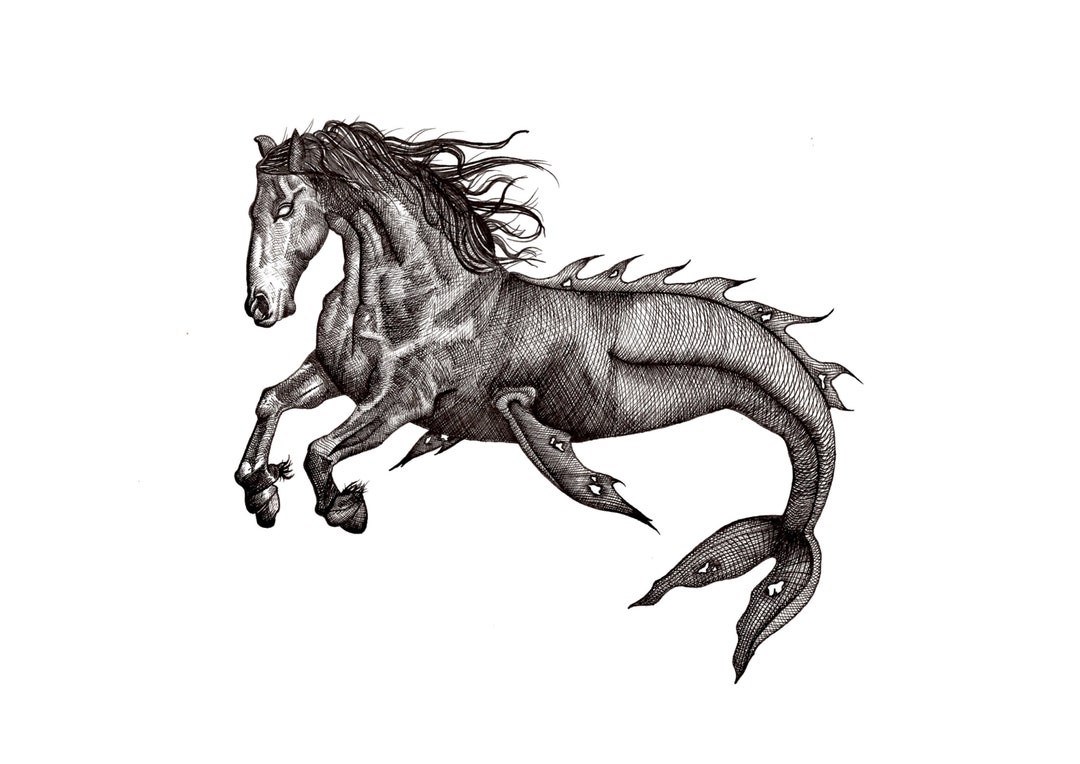 Hippocampus Fine Art Print Cross Hatching Dark Surreal Art Mythical Sea ...