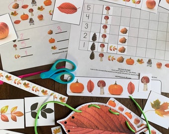 Printable Montessori Pink Series Photos and Words Cards in - Etsy