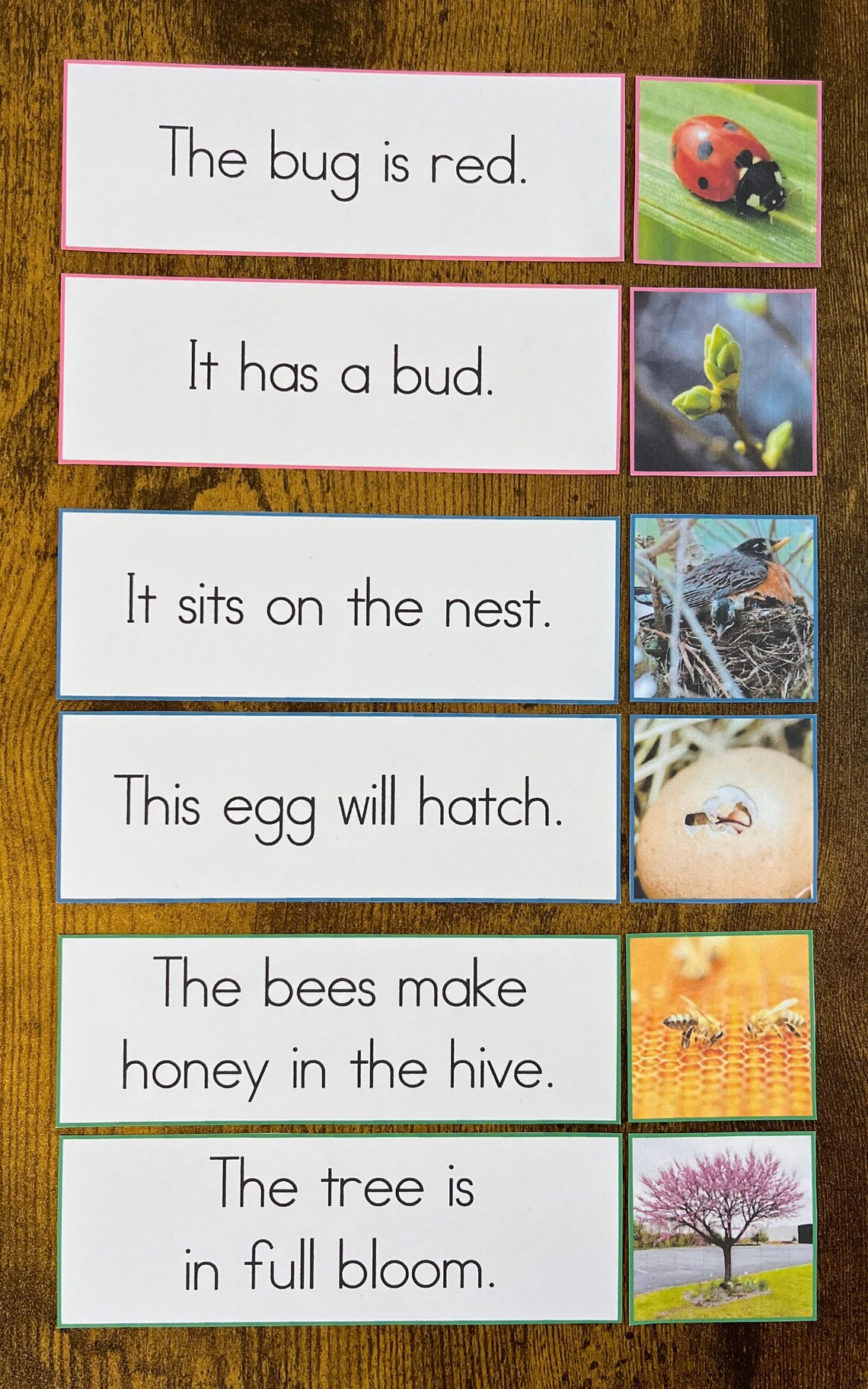 Montessori-inspired Spring Language Bundle - Etsy