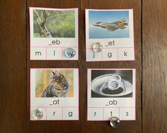 Printable Montessori Pink Series Photos and Words Cards in | Etsy