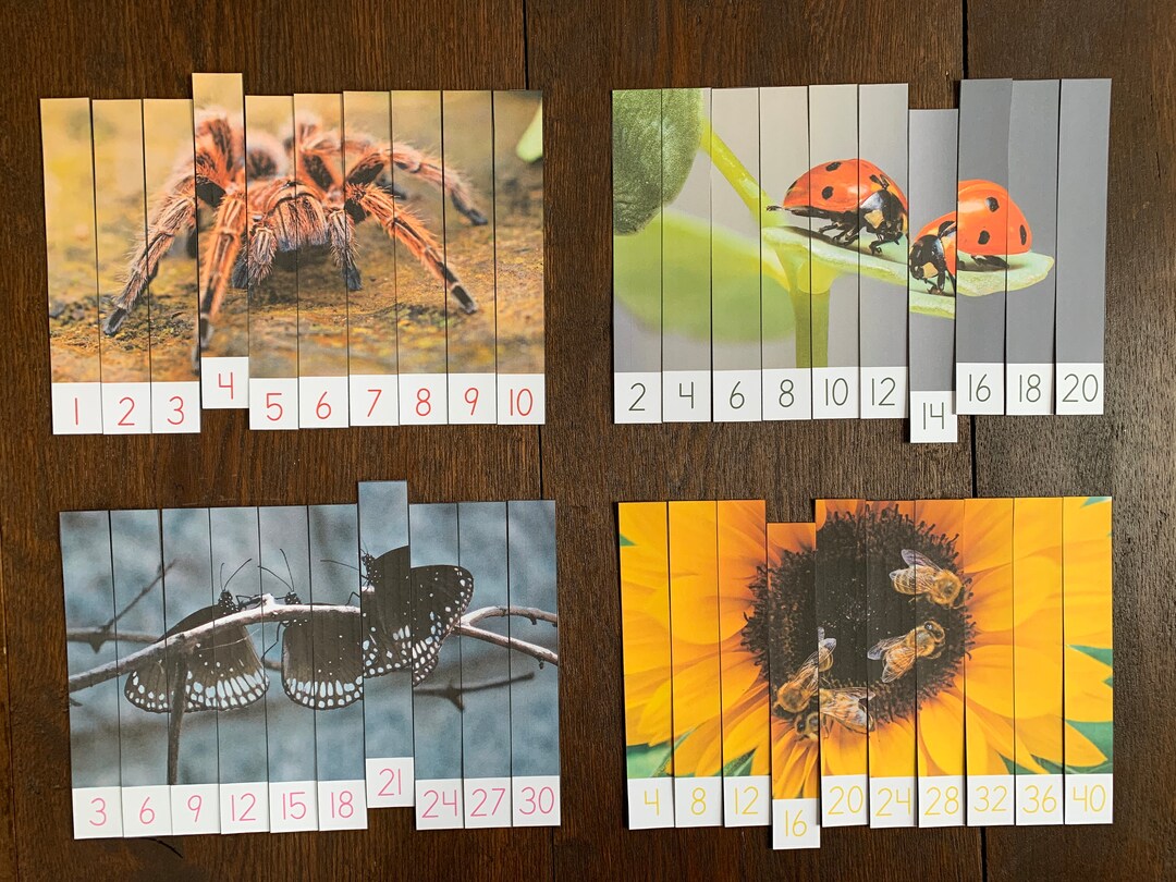 Montessori-inspired Bug Skip Counting Puzzles Printable - Etsy