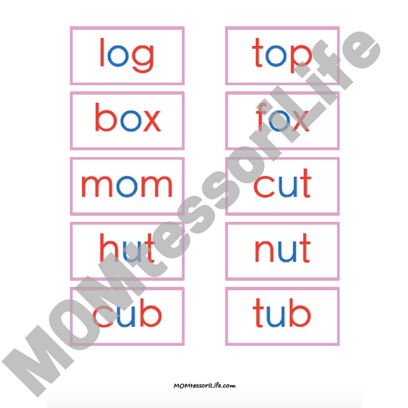 Printable Montessori Pink Series Photos and Words Cards in Print AND ...