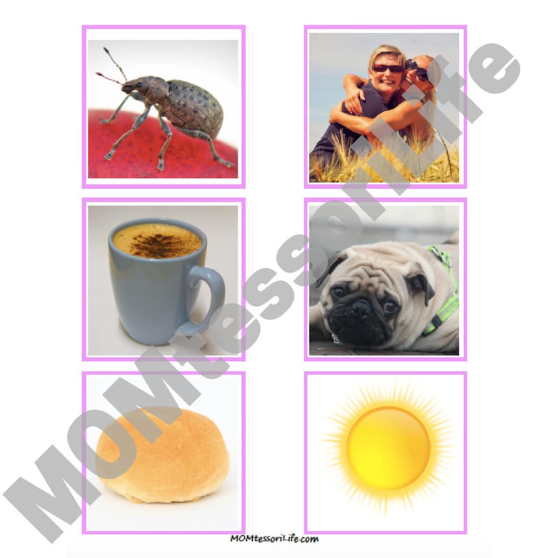 Printable Montessori Pink Series Photos and Words Cards in Print AND ...