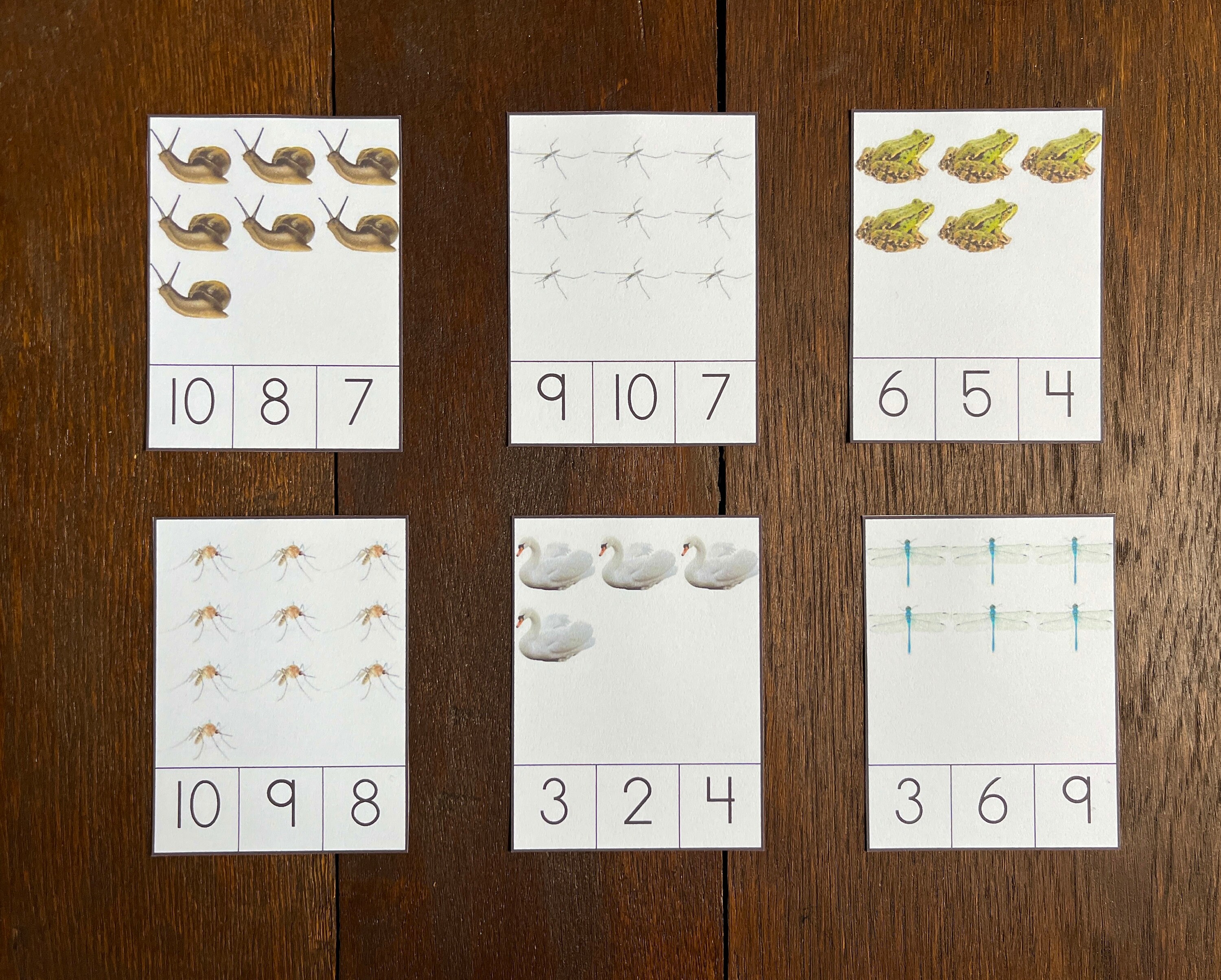 Montessori-inspired Pond Life Bundle - Etsy