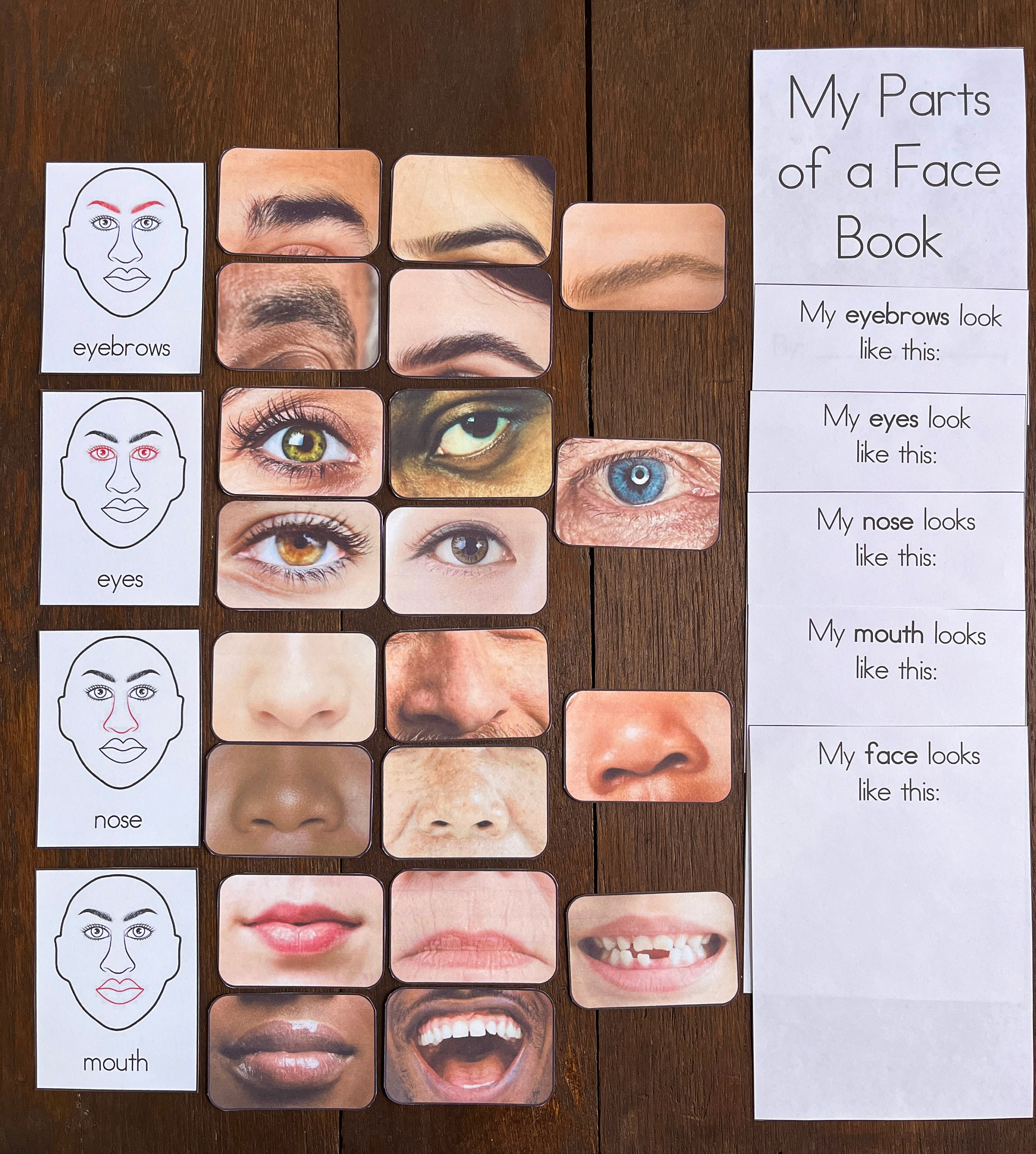 Montessori-inspired Human Body Bundle - Etsy