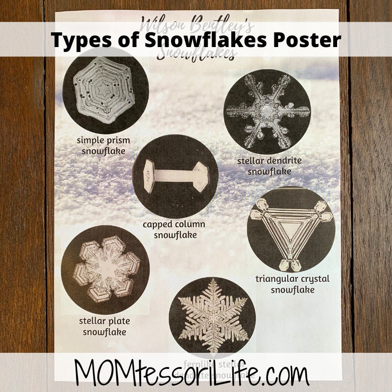 Wilson Bentley's Snowflakes Pack -- Montessori-inspired Printables - Etsy