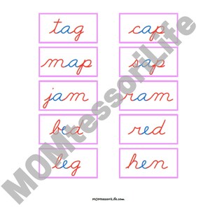 Printable Montessori Pink Series Photos and Words Cards in Print AND ...
