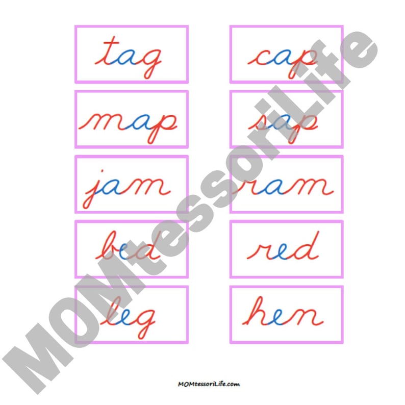 Printable Montessori Pink Series Photos and Words Cards in Print AND ...