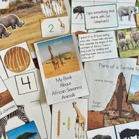 MONTESSORI INSPIRED Landmarks of Africa 3 Part Card - Etsy