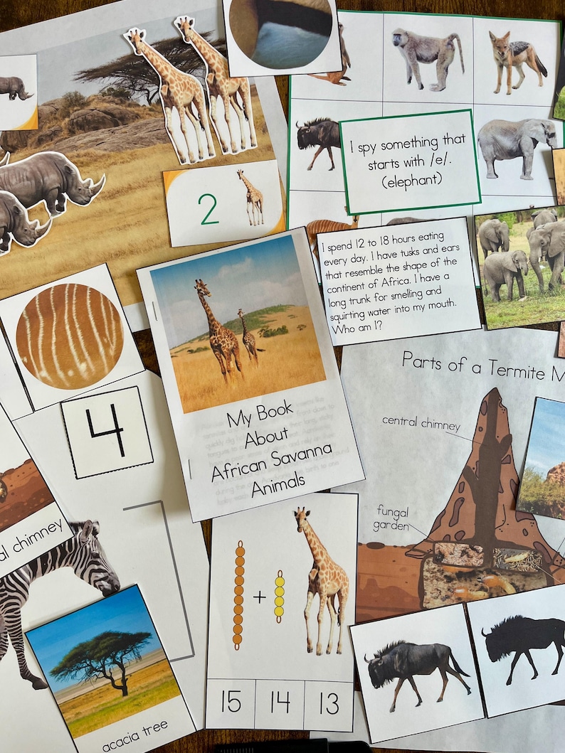 Montessori-inspired African Savanna Life Bundle - Etsy