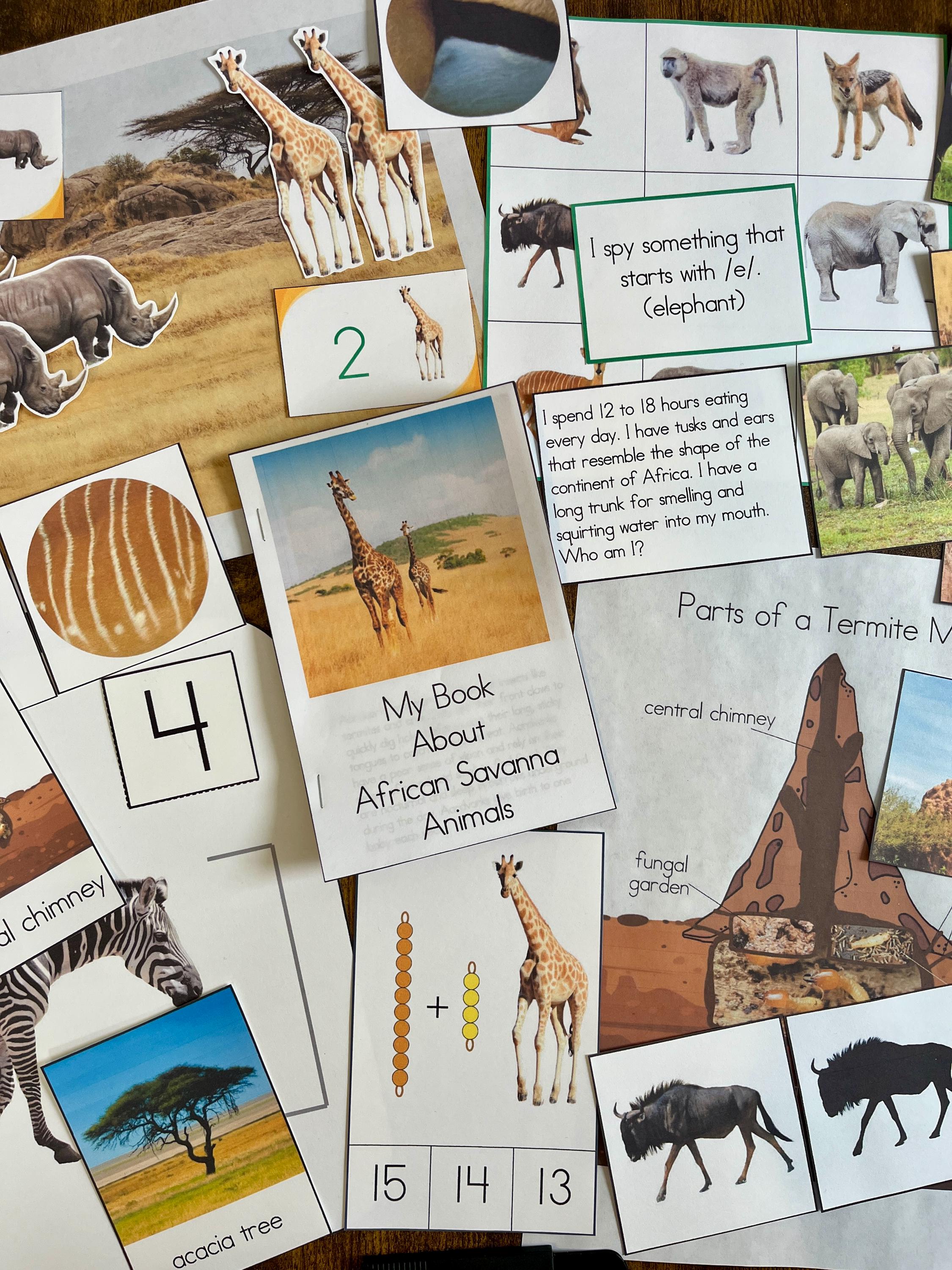 Montessori-inspired African Savanna Life Bundle - Etsy