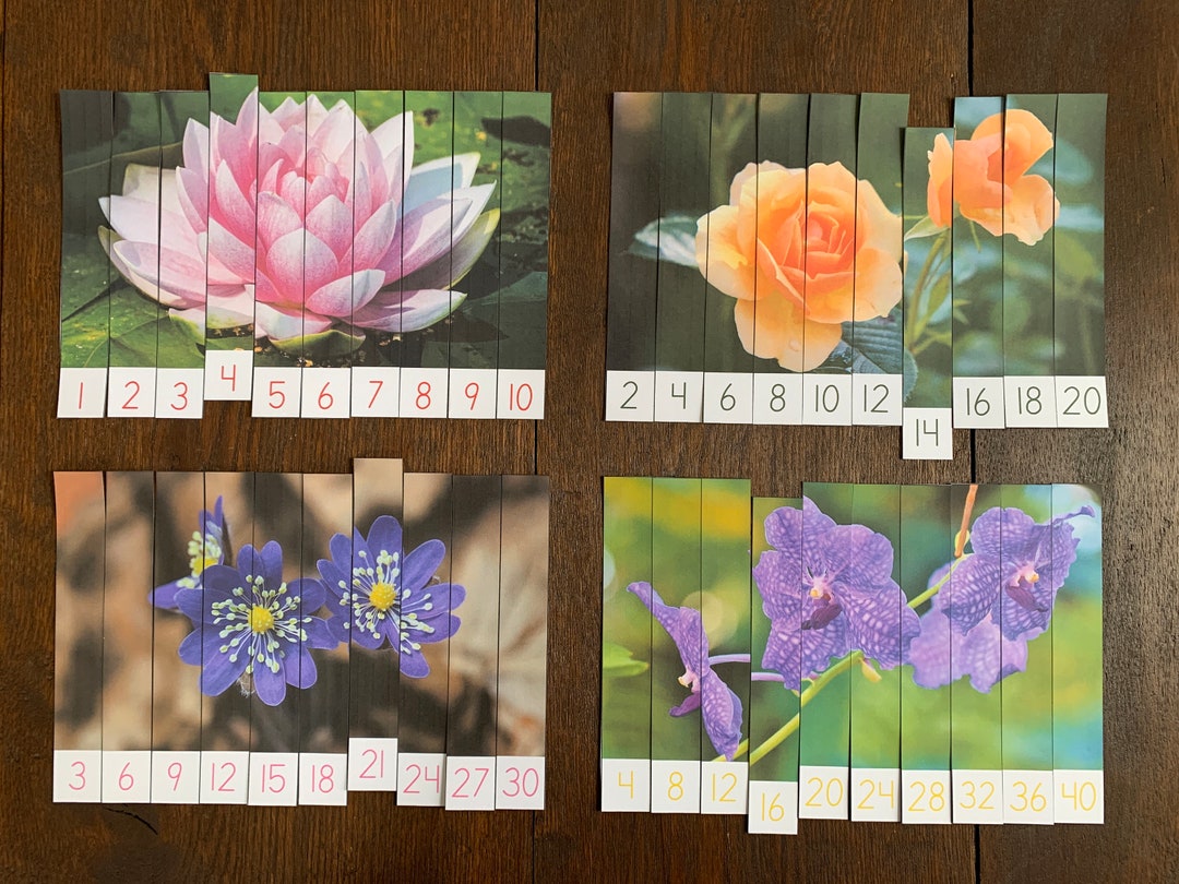 Montessori-inspired Flower Skip Counting Puzzles Printable - Etsy