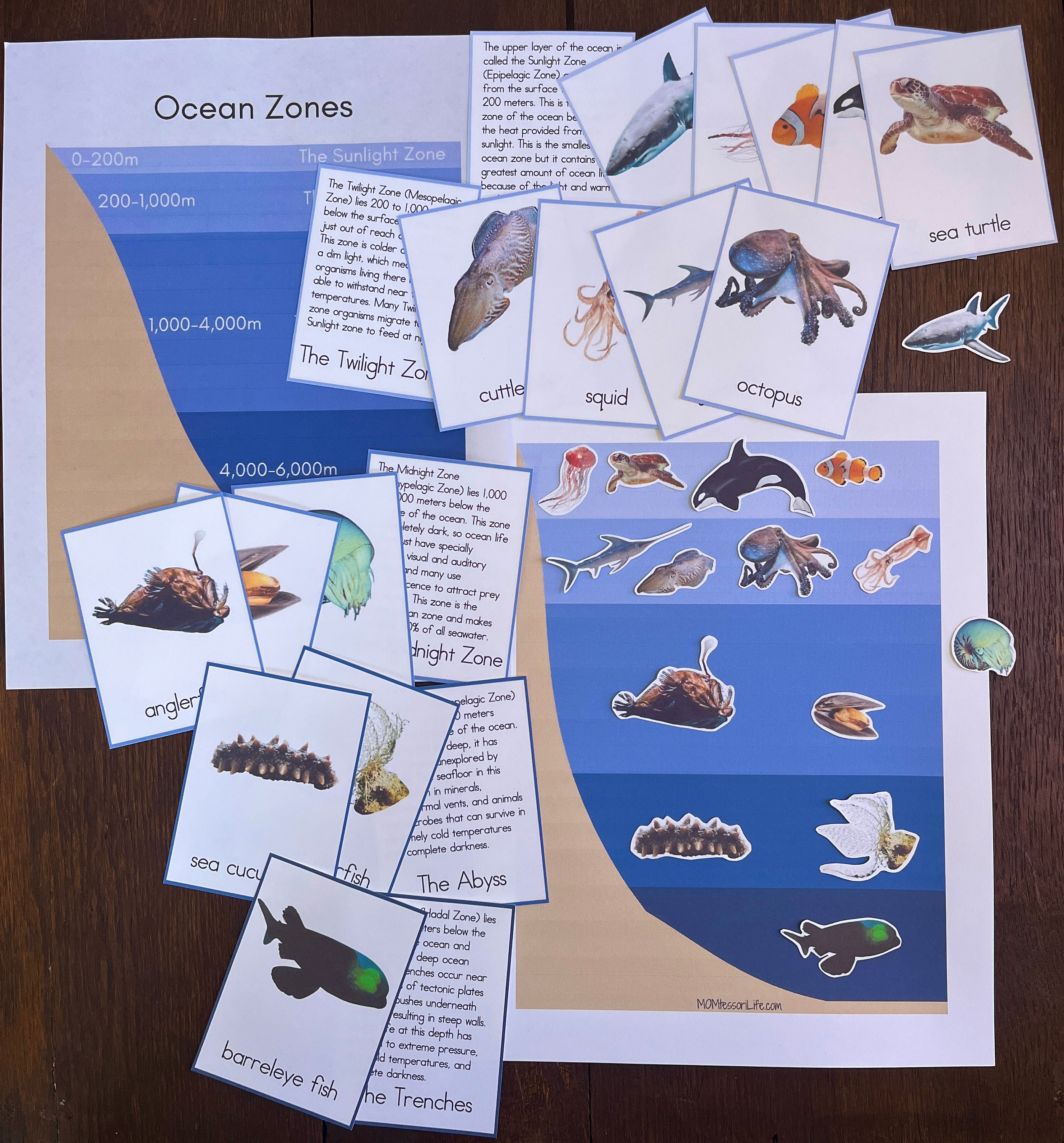 Montessori-inspired Ocean Life Bundle - Etsy