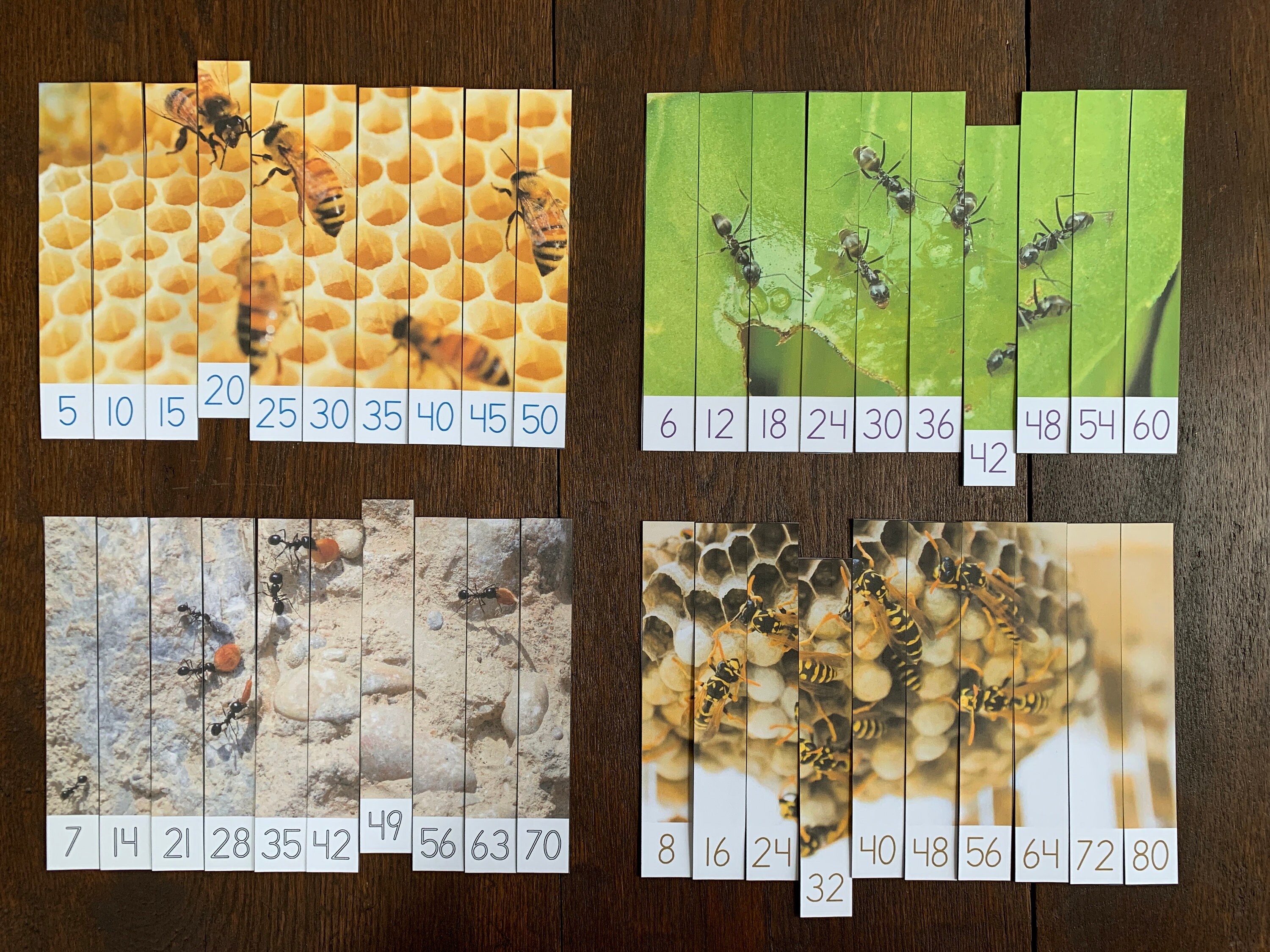 Montessori-inspired Bug Skip Counting Puzzles Printable - Etsy