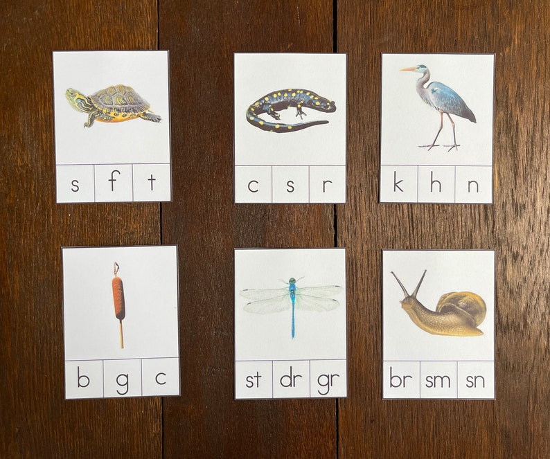 Montessori-inspired Pond Life Bundle - Etsy