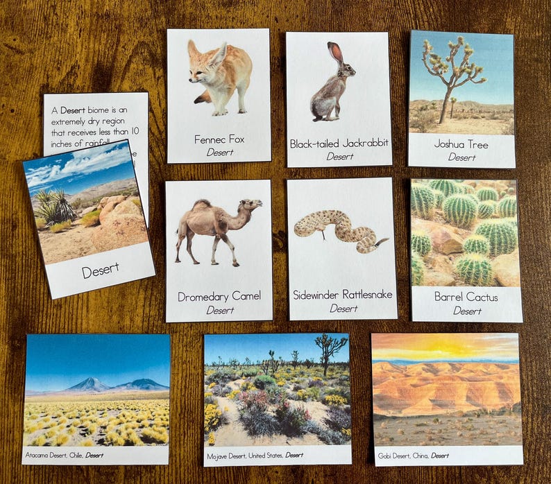 Montessori-inspired Biomes Bundle - Etsy