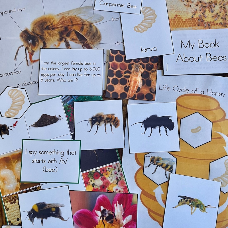 MOMtessoriLife - Etsy